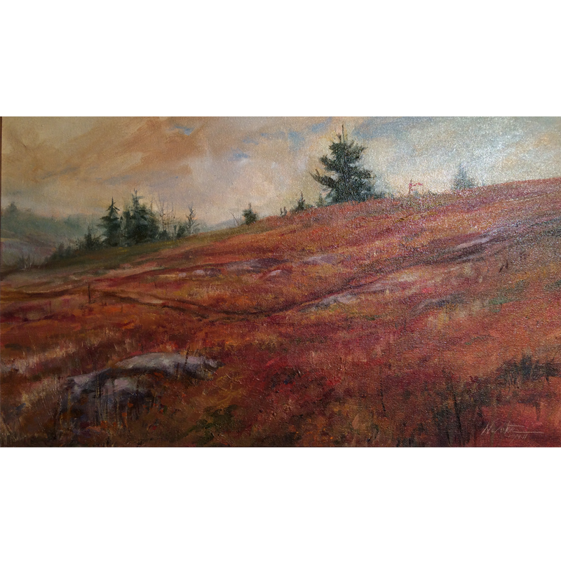 Harvest Gold Gallery