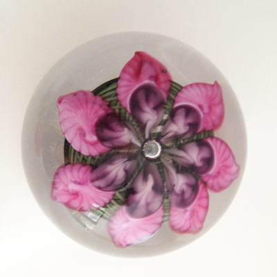 Harvest Gold Gallery